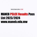 MANEB Results 2023: Check Your PSLCE, JCE, and MSCE Scores Now - Edutymes